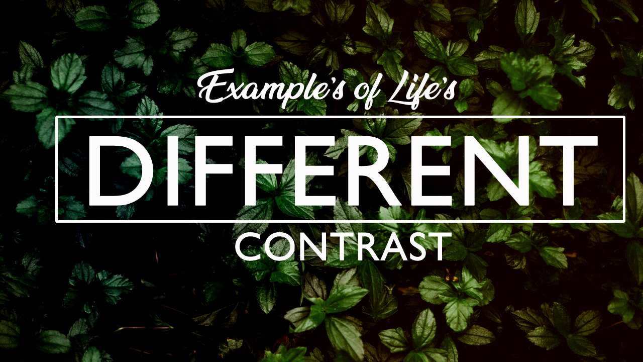 Example’s Of Life’s Different Contrast - Church of Pentecost