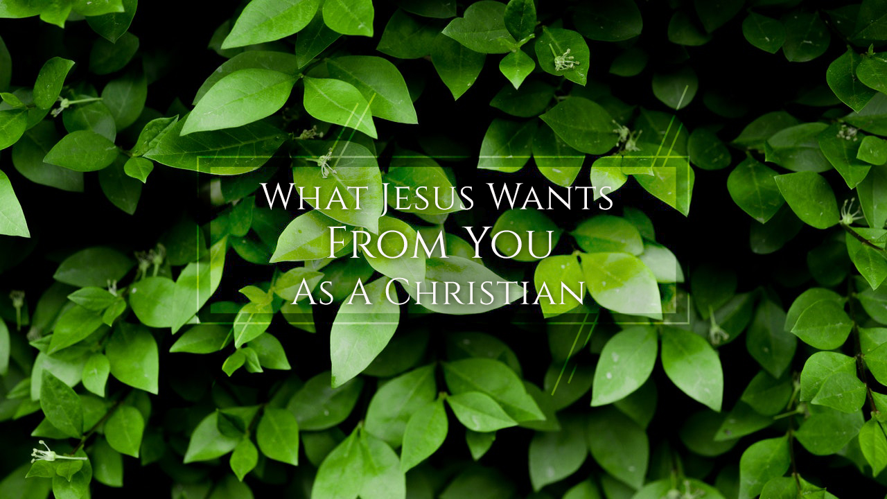 What Jesus Wants From You As A Christian - Church of Pentecost