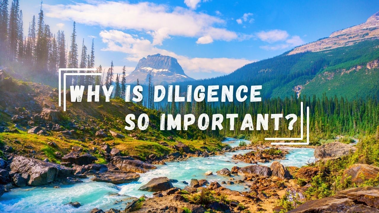 Why Is Diligence So Important? - Church of Pentecost