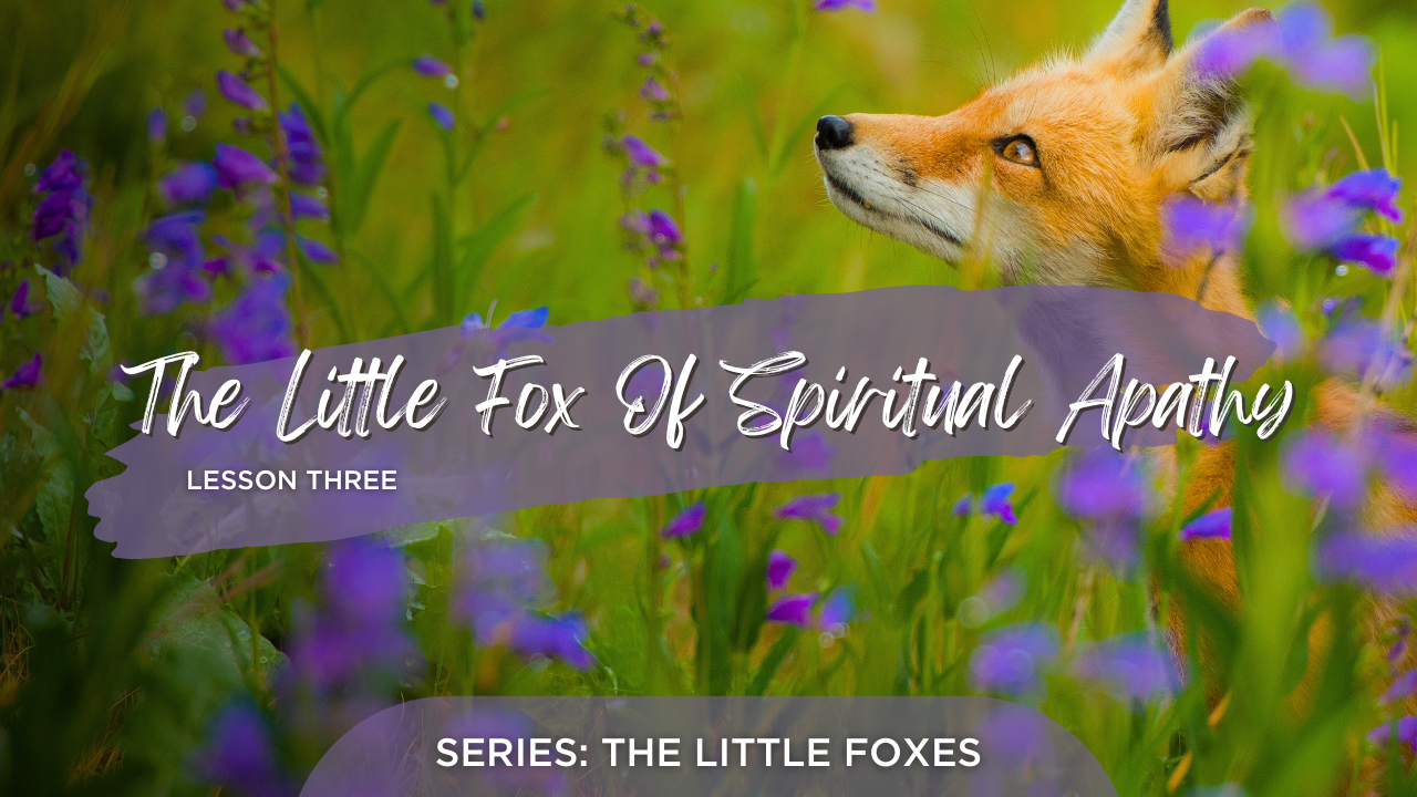 The Little Foxes: Lesson Three - The Little Fox of Spiritual Apathy ...