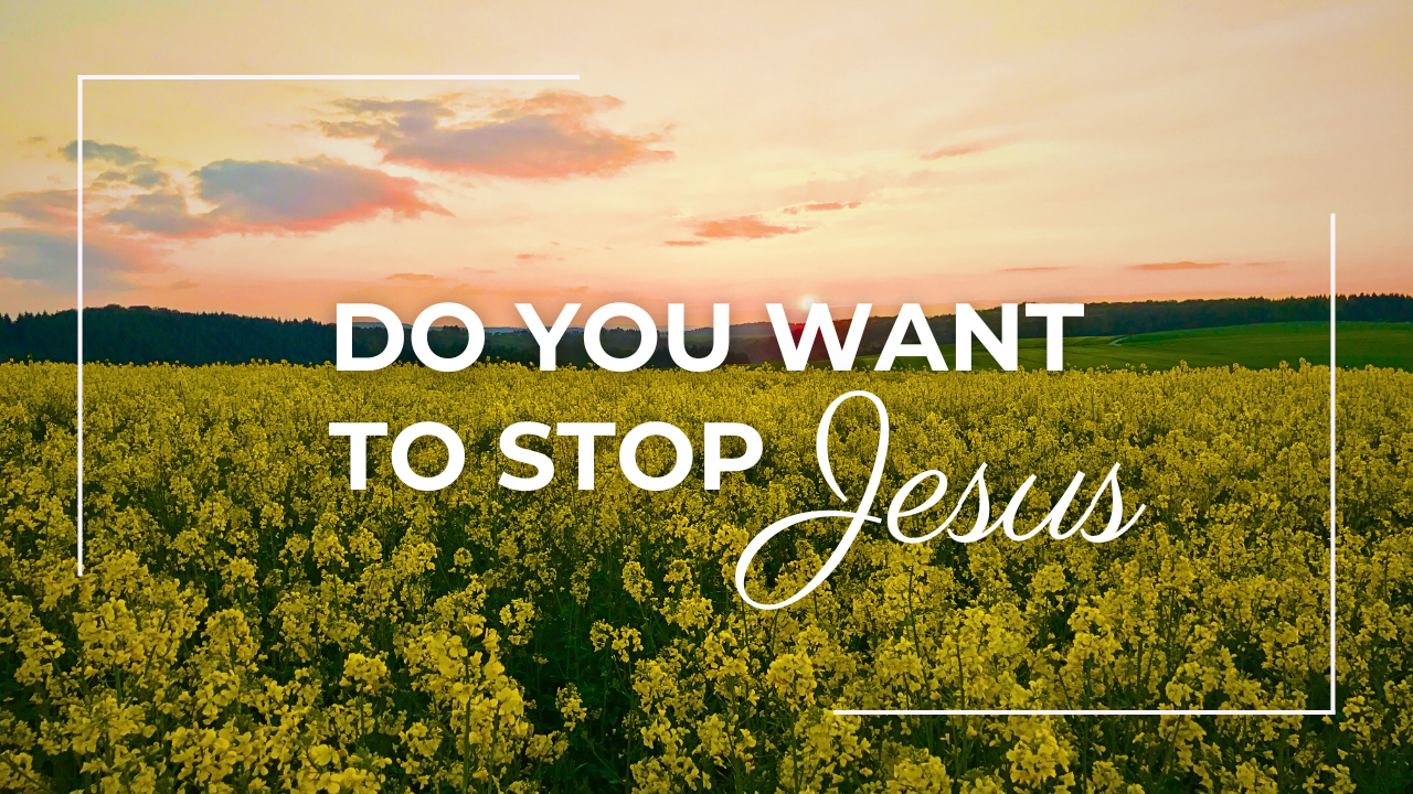 Do You Want To Stop Jesus - Church of Pentecost