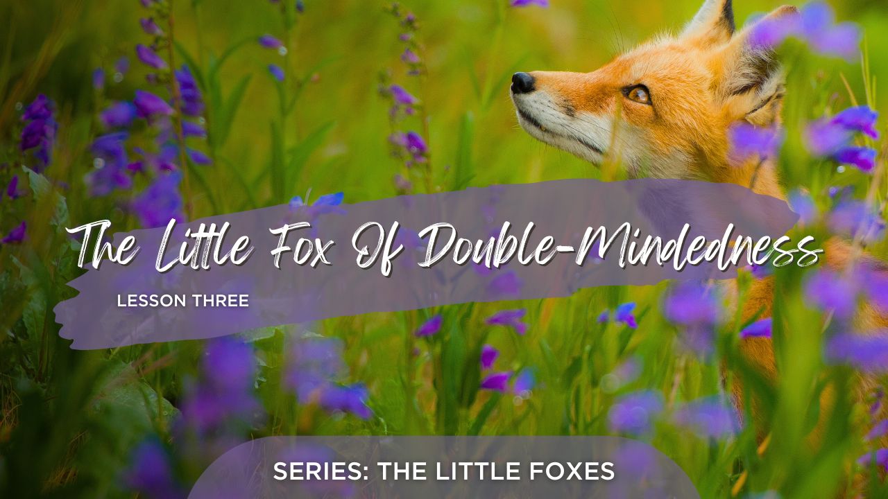 The Little Foxes Lesson 4 – The Little Fox Of Double-Mindedness ...
