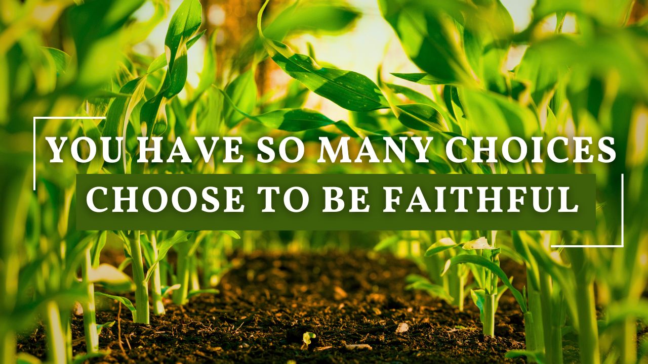 You Have So Many Choices Chose To Be Faithful - Church of Pentecost