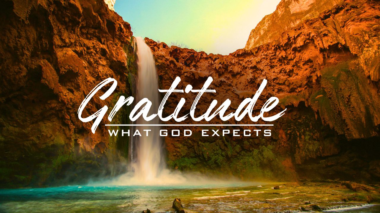 Gratitude What God Expects - Church of Pentecost
