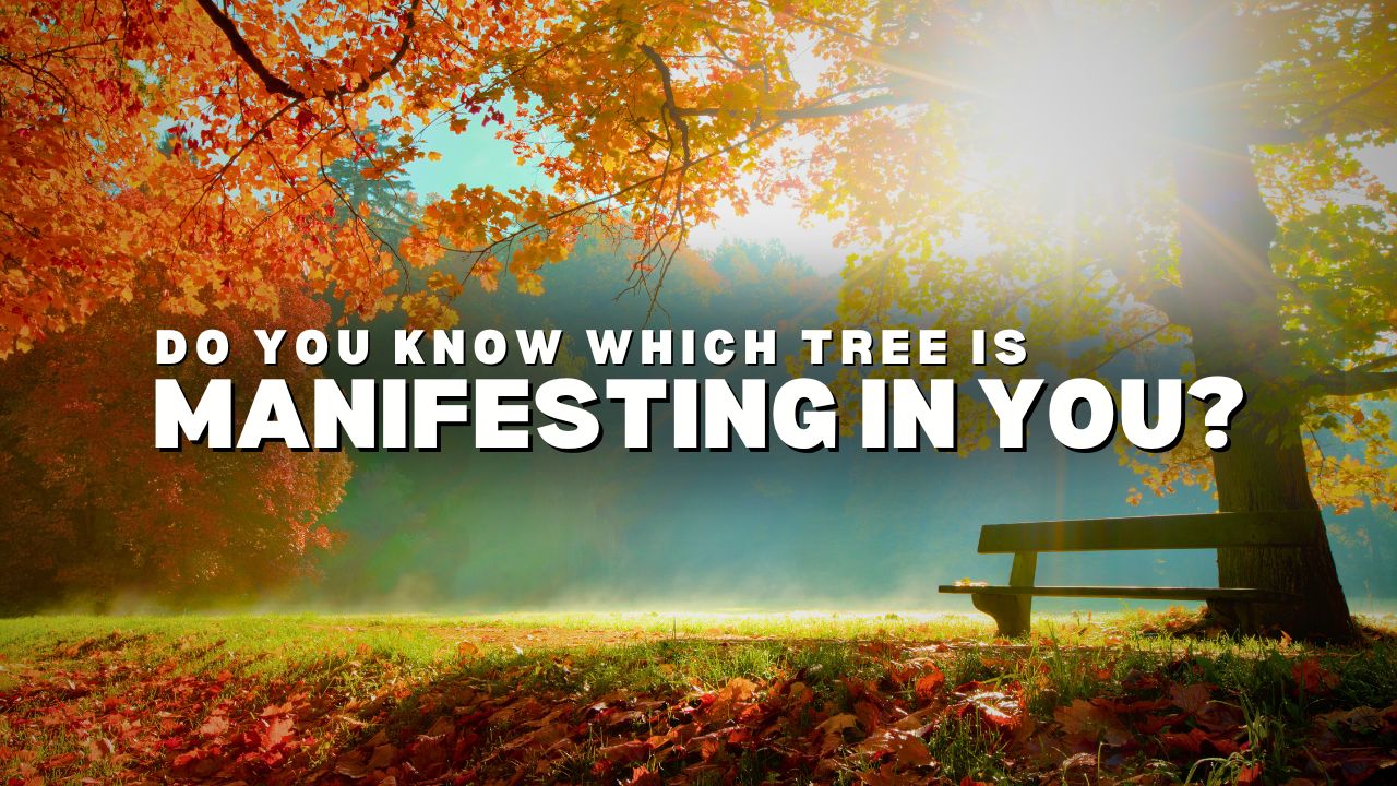 Do You Know Which Tree Is Manifesting In You? - Church of Pentecost