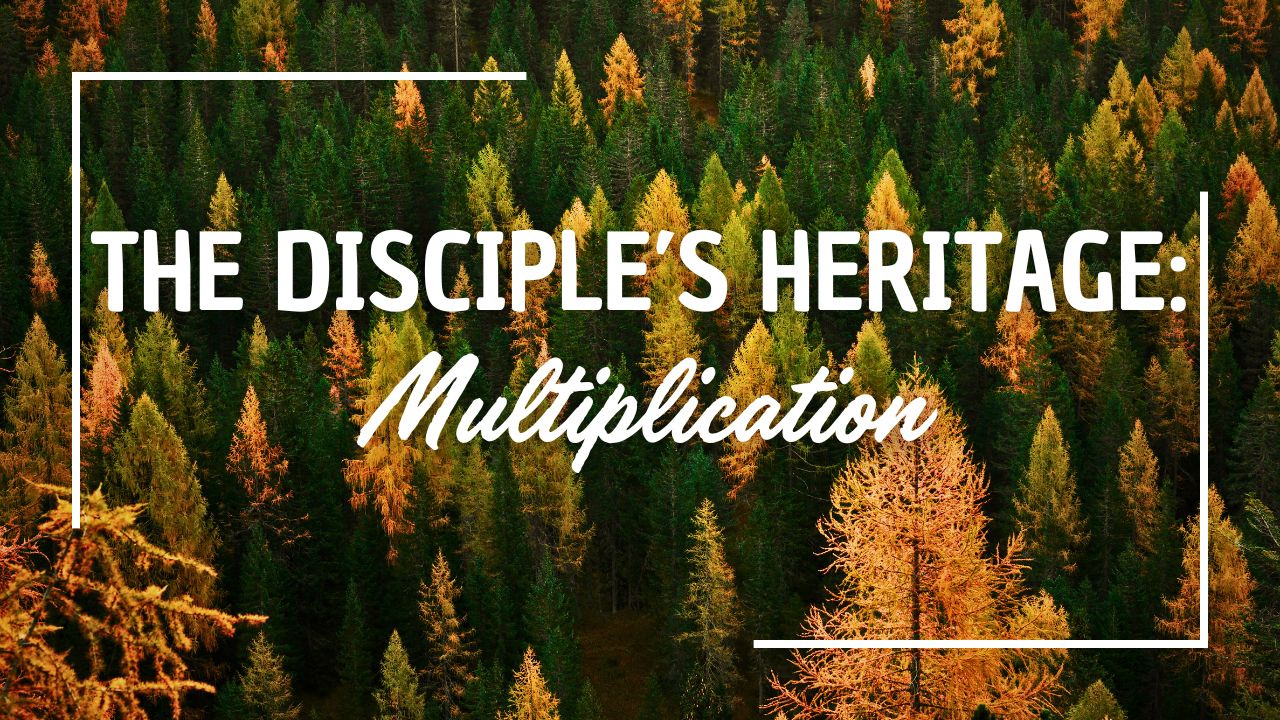 The Disciple's Heritage: Multiplication - Church of Pentecost