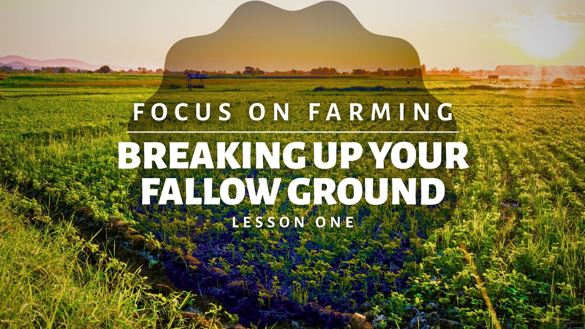 Focus On Farming - Breaking Up Your Fallow Ground - Lesson One - Church ...